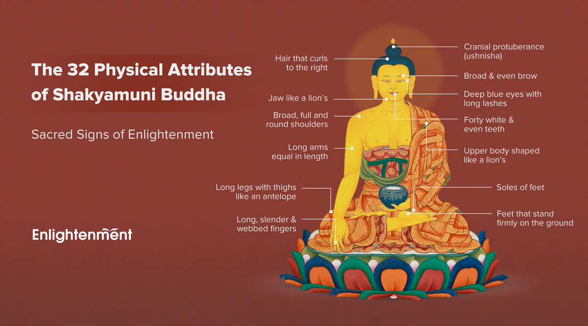 The 32 Physical Attributes of Shakyamuni Buddha: Sacred Signs of Enlig