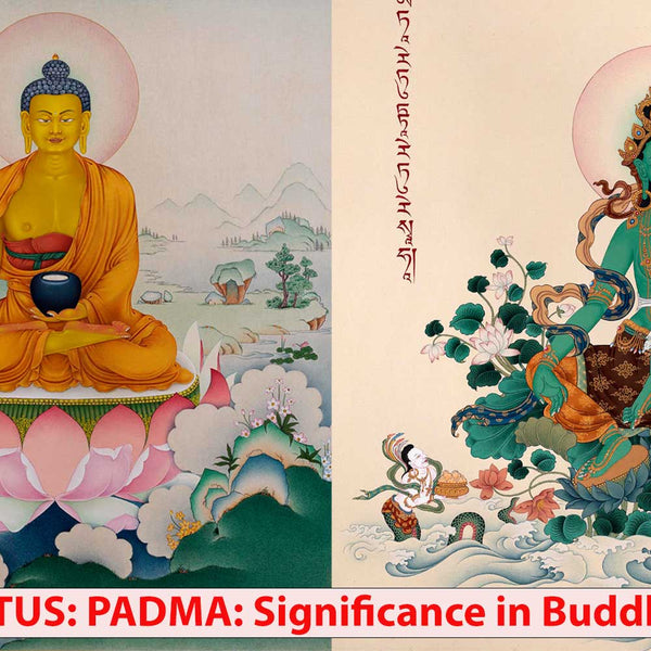Buddha Hand Holding Lotus Flower Meaning | Best Flower Site