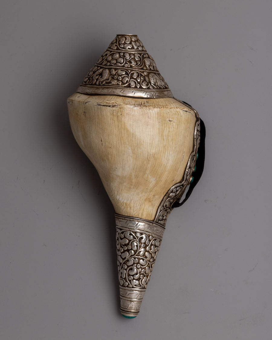 Conch Shell Pooja | Ritual Shell for Enhancing Your Worship and Offeri