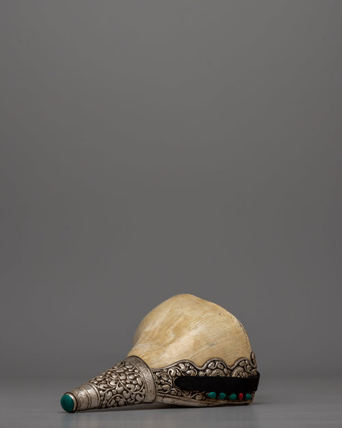 Conch Shell Pooja | Ritual Shell for Enhancing Your Worship and Offeri