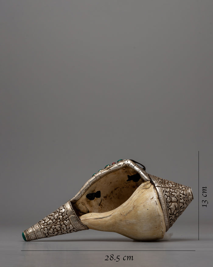 Conch Shell Pooja | Ritual Shell for Enhancing Your Worship and Offeri