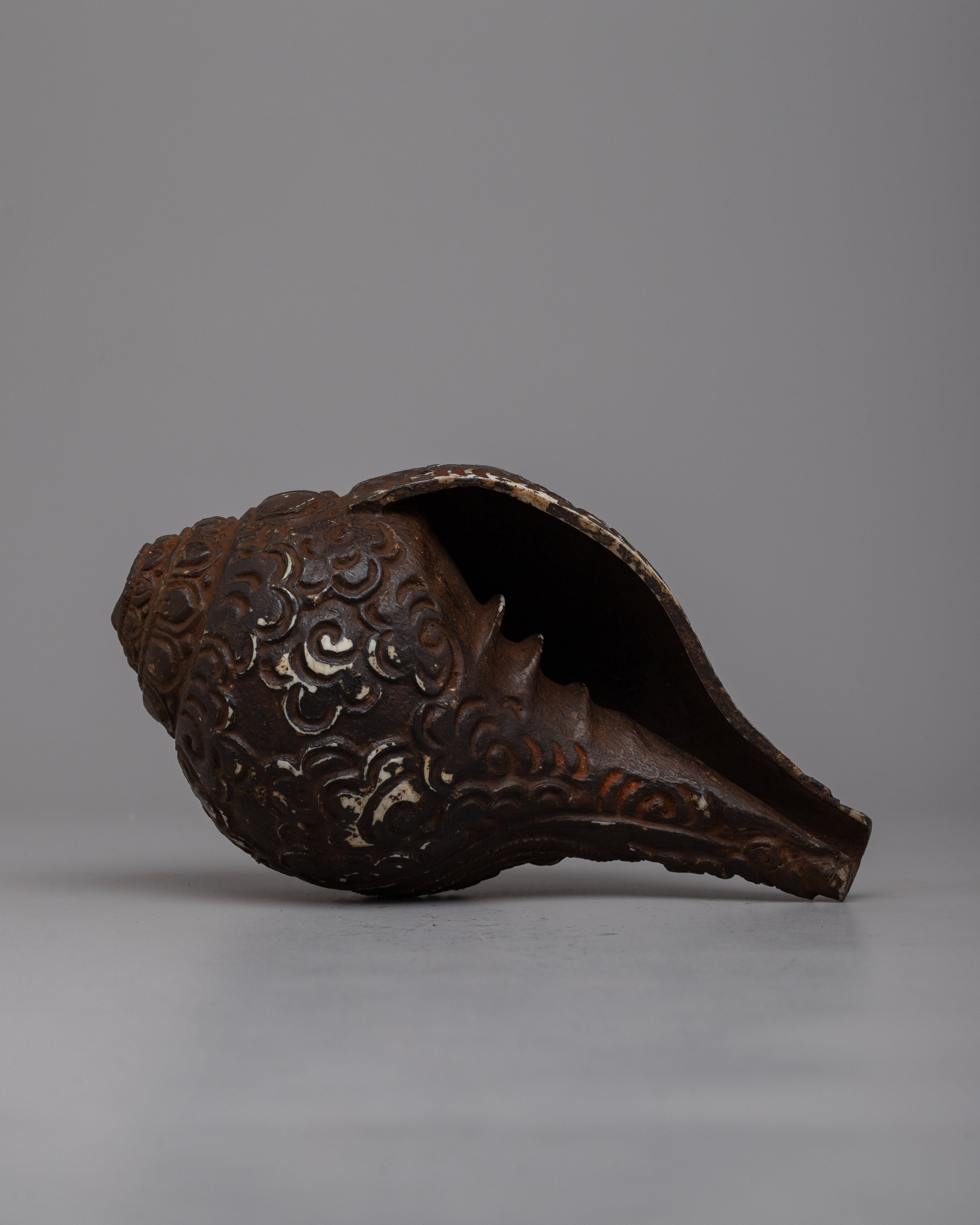 Conch Shell Sankha | Elevate Your Meditation Practice